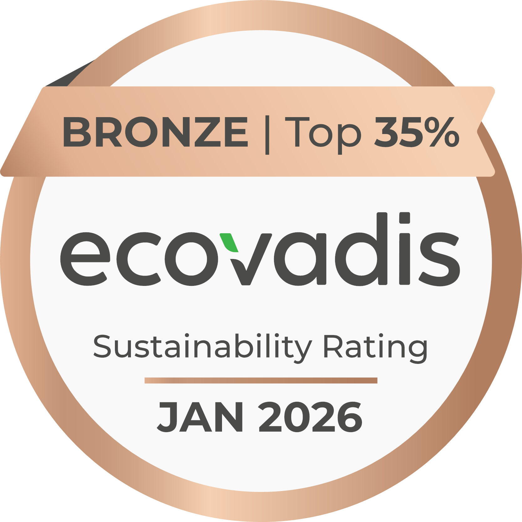 Bronze Medal Success: Our First EcoVadis Rating - WBS